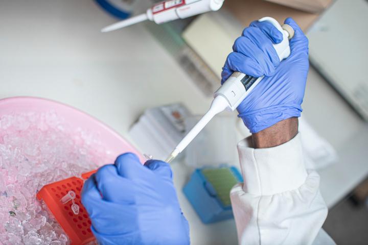 Home | Biotechnology Research Centre